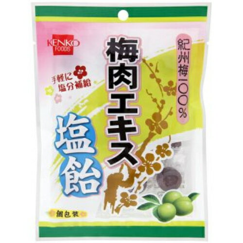 ■商品名：梅肉エキス塩飴〔夏〕 ■内容量：70g ■賞味期限：製造日より1年 ■原材料：甜菜糖（国内製造）、水飴、梅肉エキス、食塩 ■メーカー：健康フーズ ■商品詳細： 紀州梅100%の梅肉エキス・沖縄の塩シママースとぬちまーすを使用した、...