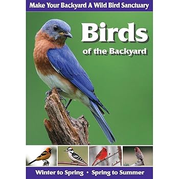 【中古】Birds of the Backyard [DVD]【メーカー名】【メーカー型番】【ブランド名】Total-Content LLC ドキュメンタリー, ダンス・エレクトロニカ 【商品説明】Birds of the Backyard...