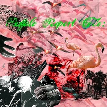【中古】Buffalo Report Code:【メーカー名】【メーカー型番】【ブランド名】Flamingo Generation J-POP, ヒップホップ KITAKANTO SKILLZ: Artist【商品説明】Buffalo Re...