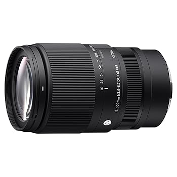 【中古】シグマ(Sigma) レンズ 16-300mm F3.5-6.7 DC OS Sony E マウント 高倍率ズーム 標準 APS-C Cantemporary ミラーレス専用【メーカー名】【メーカー型番】【ブランド名】シグマ(Sig...