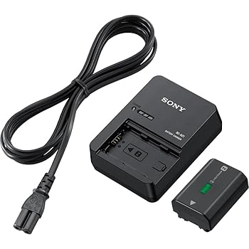 【中古】SONY(ソニー) ACC-QZ1K アクセサリーキット(BC-QZ1+NP-FZ100)【メーカー名】【メーカー型番】【ブランド名】Sony カメラ用バッテリー＆充電器セット 【商品説明】SONY(ソニー) ACC-QZ1K アク...