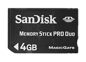 【中古】SanDisk MemoryStick Pro Duo 4GB SDMSPD-4096-J95【メーカー名】【メーカー型番】【ブランド名】SanDisk メモリースティック 【商品説明】SanDisk MemoryStick Pro...