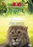 【中古】赤道 生命の環 アフリカ 奇跡の草原 [DVD]【メーカー名】【メーカー型番】【ブランド名】NHKエンタープライズ ドキュメンタリー, ホビー・実用 趣味: Actor【商品説明】赤道 生命の環 アフリカ 奇跡の草原 [DVD]当店...