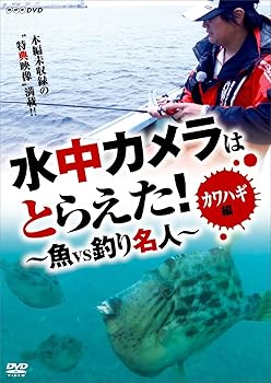 【中古】水中カメラはとらえた! 魚VS釣り名人 カワハギ編 [DVD]【メーカー名】【メーカー型番】【ブランド名】NHKエンタープライズ ドキュメンタリー, ホビー・実用 趣味: Actor【商品説明】水中カメラはとらえた! 魚VS釣り名人...