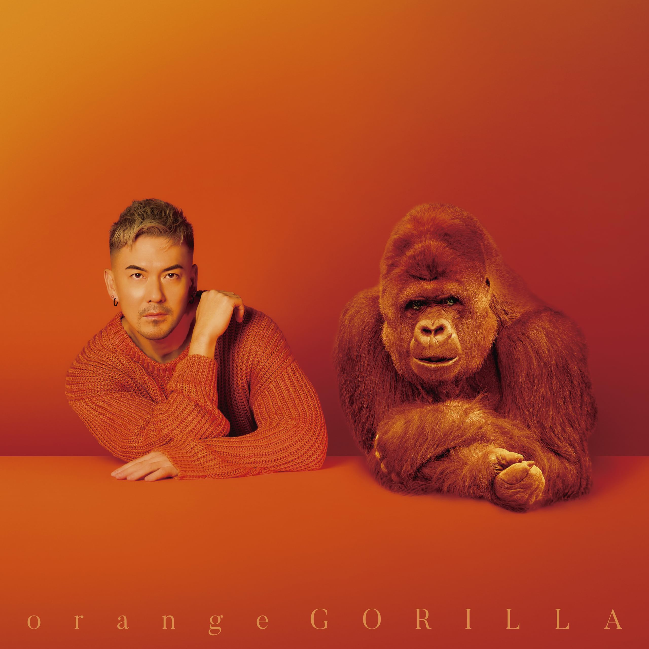 【中古】orange GORILLA - 米倉利紀【メーカー名】【メーカー型番】【ブランド名】sTYle72 music. J-POP, ソウル・R&B 米倉利紀: Artist【商品説明】orange GORILLA - 米倉利紀当店では...