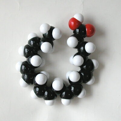 イコサペンタエン酸（IPA）分子一億倍分子模型 C20H30O2 模型の大きさ：横幅（直径）約20センチ。