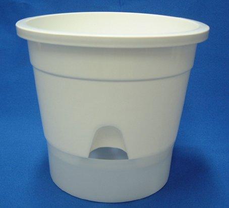 底面給水プラ鉢 5号 半透明受皿付き 1個セット底面給水プラ鉢の5号です。鉢のサイズは外形が15.2cmx高さ13.4cm（内径は13.4cmx9.2cm）です。受け皿の大きさは直径11cmx深さ4cmです。給水テープ2cmx13cmが1本...