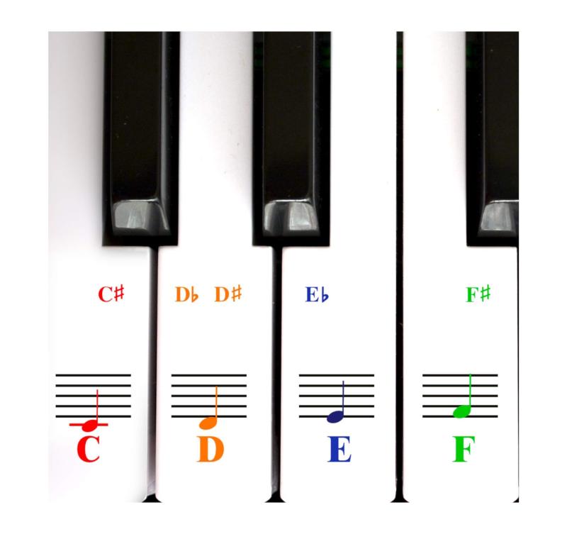 QMG 歌Ebookが付いている白いキーのためのピアノおよびキーボードの音楽ノートのステッカー耐久性透明な接着剤：ステッカーは、透明なビニールに印刷し、キーボードを損傷することはありません長期的な接着材料で被覆されています。目を引くデザイン...