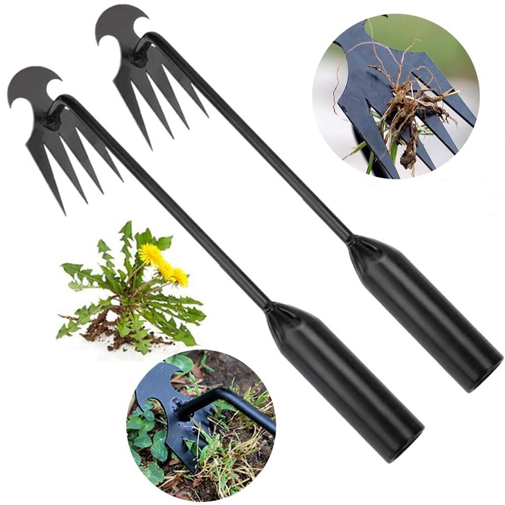 · 厚い素材: 草取り道具高品質のマンガン鋼で作られており、精密鍛造と研磨が施されています、硬度が高く、摩耗性、衝撃性に優れています、土や草にくっつかず簡単に雑草を取り除くことができます。· コンパクトで便利：この除草ツールは、持ち運びや保...