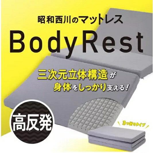 未使用 昭和西川 シングルマットレス Body Rest 高反発 三次元立体構造 8×97×195cm ウレタンフォーム 寝具 NISHIKAWA / 65924 商品詳細 サイズ(幅/奥行き/高さ): 約 97/195/8 cm ※素人寸...