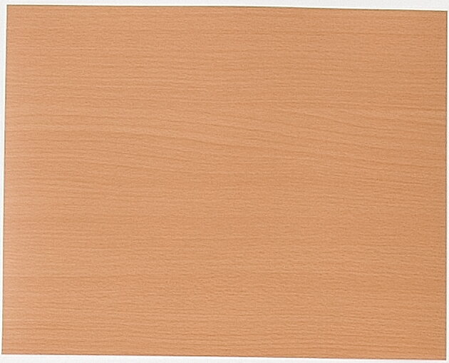 【商品詳細】 ■サイズ：1220×91/厚さ0.4(mm) ■素材：オレフィン樹脂 お手入れ簡単なフードマット！ 高い耐久性が自慢で表面強度も高く、傷つきにくく汚れにも強いオレフィン樹脂製！ 水拭きができますので、少しの汚れは簡単に落とせま...