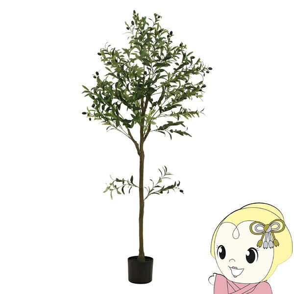 ■　不二貿易　■大型フェイクグリーンでお部屋に癒しを。オリーブ 150cm◆　主な特長　◆(1)癒しのグリーンを様々な場所でリラックス効果もあるグリーンは、どんなものよりもお部屋に馴染む不思議なインテリア。どこでもお好きな場所でお使いいただ...