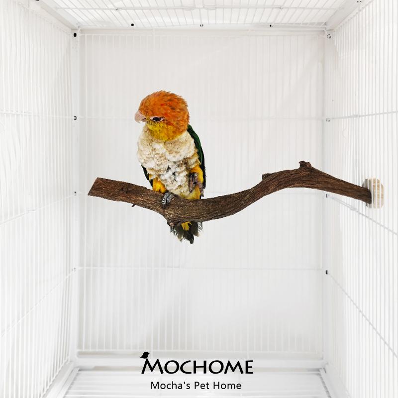 インコ オウム おもちゃ ブランコ 鳥 A:小号リボン支柱 直径約1-2 B:中号リボン支柱 直径約3-4 C:中号リボン秋千 長さ約30-