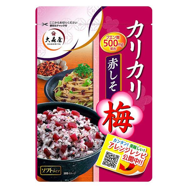 カリカリ梅赤しそ　40g○リニューアル等により、パッケージ画像は予告なく変更されることがあります。お届けの商品と異なる場合がございますのでご了承ください。○この食感は忘れられません！カリカリ梅の食感と、その梅を活かす絶妙な味付けがやみつきに...