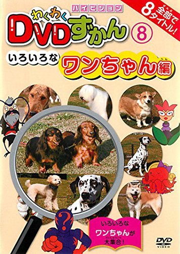 【レンタル落ち中古品 】店舗と併用販売となる為、品切れのときもございます。その場合は申し訳ございませんが、ご注文をキャンセルさせていただきます。 ★ご購入を検討されるお客様は以下についてご理解の上、 商品購入の手続きをお願い申し上げます。 ...