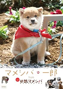 【セル版中古品 】店舗と併用販売となる為、品切れのときもございます。その場合は申し訳ございませんが、ご注文をキャンセルさせていただきます。 ★ご購入を検討されるお客様は以下についてご理解の上、 商品購入の手続きをお願い申し上げます。 ★画像...