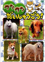 メール便：可規格番号：kibr-138JANコード：4988003962692【商品説明】【商品説明】 こちらの商品はレンタル店で使用していた中古品となっております。 お間違えのないようにお願いします。研磨・クリーニング・起動確認後、緩衝材...