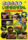 メール便：可規格番号：kibr-4488JANコード：4988003968502キャスト：----監督：----字幕：----音声：----【内容紹介】子どもが身近なことで最初に興味を持つのは「のりもの」や「いきもの」が圧倒的に多いようです...