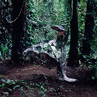 メール便：可規格番号：kccdl-331JANコード：4544719005780【商品説明】 サンパウロの先鋭レーベル、トラマから発表した前作が欧米で話題に。期待のブラジル産ガールズ・パンクのセカンド・アルバムだが、かつてセパルトゥラが放っ...