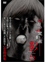 メール便：可規格番号：mgdr-185JANコード：4510418101856キャスト：---- 監督：木場丈 字幕：---- 音声：ステレオ／ドルビーデジタル 【商品説明】あらゆる日常的な、本当の日常の動画に映る‘影=霊’を徹底追及した恐...