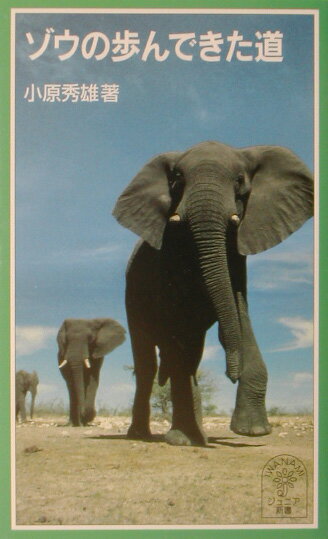 ◆◆◆おおむね良好な状態です。中古商品のため使用感等ある場合がございますが、品質には十分注意して発送いたします。 【毎日発送】 商品状態 著者名 小原秀雄 出版社名 岩波書店 発売日 2002年10月18日 ISBN 9784005004126