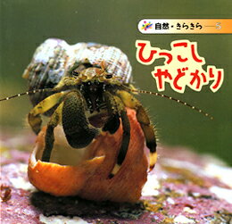 ◆◆◆全体的に日焼け、汚れがあります。中古ですので多少の使用感がありますが、品質には十分に注意して販売しております。迅速・丁寧な発送を心がけております。【毎日発送】 商品状態 著者名 久保秀一、七尾純 出版社名 偕成社 発売日 1987年0...