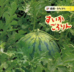 ◆◆◆おおむね良好な状態です。中古商品のため使用感等ある場合がございますが、品質には十分注意して発送いたします。 【毎日発送】 商品状態 著者名 久保秀一、七尾純 出版社名 偕成社 発売日 1989年03月01日 ISBN 97840334...