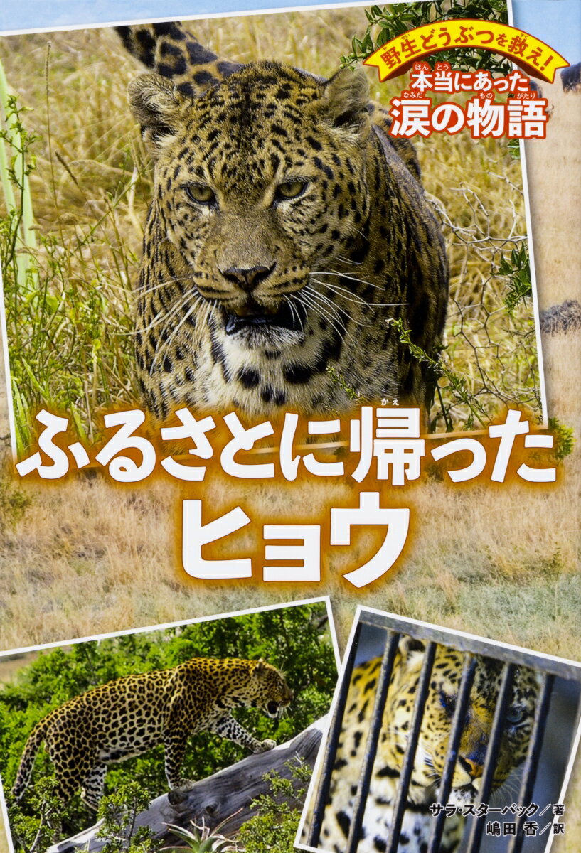 ◆◆◆小口に汚れがあります。中古ですので多少の使用感がありますが、品質には十分に注意して販売しております。迅速・丁寧な発送を心がけております。【毎日発送】 商品状態 著者名 サラ・スターバック、嶋田香（野生動物保護） 出版社名 KADOKA...