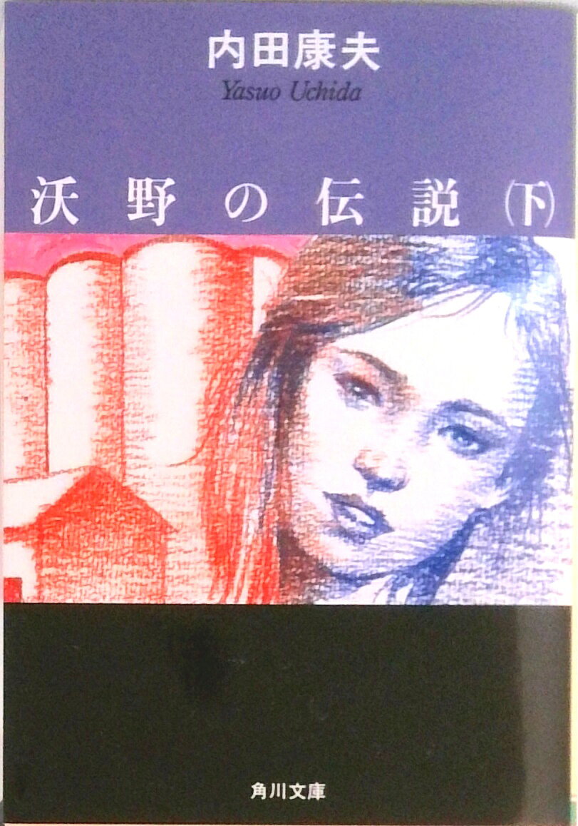 ◆◆◆全体的に日焼け、使用感があります。中古ですので多少の使用感がありますが、品質には十分に注意して販売しております。迅速・丁寧な発送を心がけております。【毎日発送】 商品状態 著者名 内田康夫 出版社名 角川書店 発売日 1999年10月...