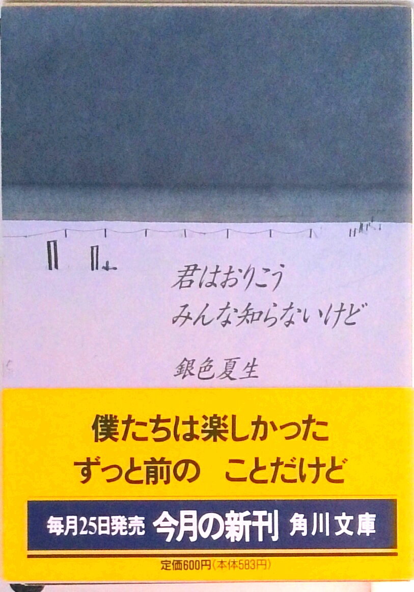 ◆◆◆歪みがあります。全体的に日焼け、汚れ、使用感、傷みがあります。中古ですので多少の使用感がありますが、品質には十分に注意して販売しております。迅速・丁寧な発送を心がけております。【毎日発送】 商品状態 著者名 銀色夏生 出版社名 角川書...