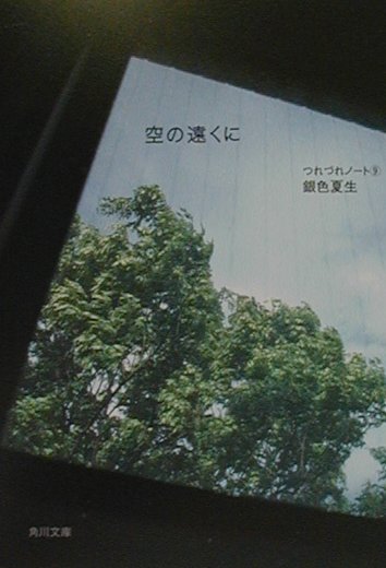 ◆◆◆非常にきれいな状態です。中古商品のため使用感等ある場合がございますが、品質には十分注意して発送いたします。 【毎日発送】 商品状態 著者名 銀色夏生 出版社名 角川書店 発売日 2000年07月 ISBN 9784041673409
