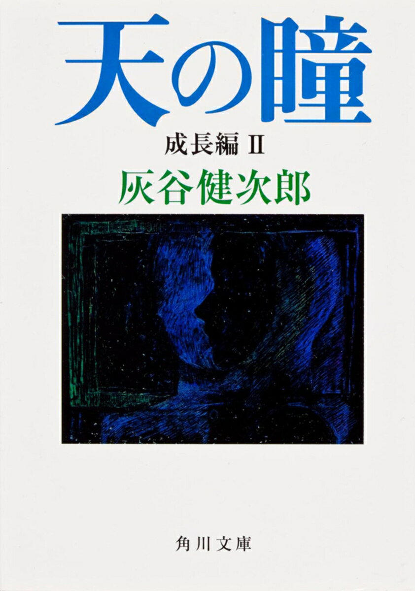 ◆◆◆カバーに破れがあります。全体的に日焼けがあります。中古ですので多少の使用感がありますが、品質には十分に注意して販売しております。迅速・丁寧な発送を心がけております。【毎日発送】 商品状態 著者名 灰谷健次郎 出版社名 角川書店 発売日...