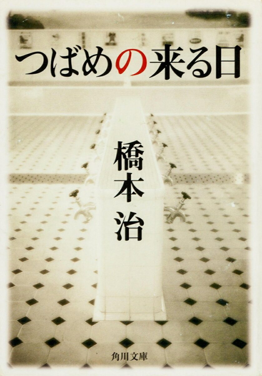 ◆◆◆おおむね良好な状態です。中古商品のため使用感等ある場合がございますが、品質には十分注意して発送いたします。 【毎日発送】 商品状態 著者名 橋本治 出版社名 角川書店 発売日 2001年09月25日 ISBN 9784043567027