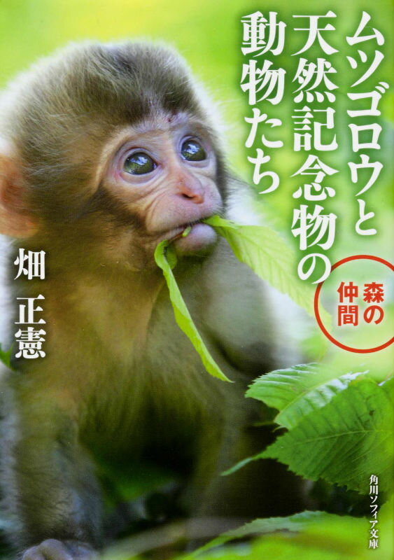 ◆◆◆非常にきれいな状態です。中古商品のため使用感等ある場合がございますが、品質には十分注意して発送いたします。 【毎日発送】 商品状態 著者名 畑正憲 出版社名 角川学芸出版 発売日 2012年09月25日 ISBN 9784044052119