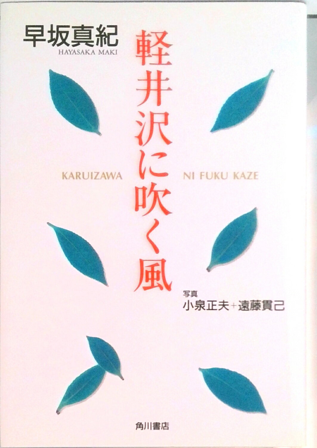 ◆◆◆おおむね良好な状態です。中古商品のため使用感等ある場合がございますが、品質には十分注意して発送いたします。 【毎日発送】 商品状態 著者名 早坂真紀、小泉正夫 出版社名 角川書店 発売日 1995年07月25日 ISBN 978404...