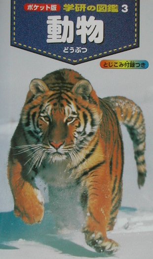 ◆◆◆おおむね良好な状態です。中古商品のため使用感等ある場合がございますが、品質には十分注意して発送いたします。 【毎日発送】 商品状態 著者名 今泉忠明 出版社名 Gakken 発売日 2002年04月10日 ISBN 978405201...