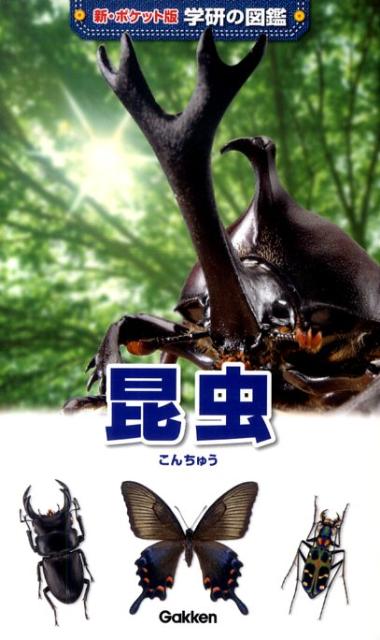 ◆◆◆小口に汚れがあります。カバーがありません。表紙に使用感、傷みがあります。中古ですので多少の使用感がありますが、品質には十分に注意して販売しております。迅速・丁寧な発送を心がけております。【毎日発送】 商品状態 著者名 岡島秀治 出版社...