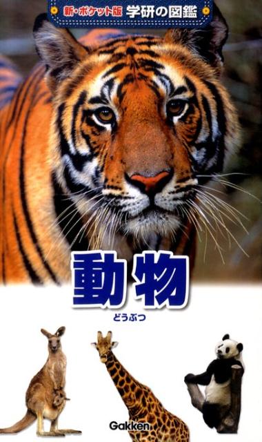 ◆◆◆おおむね良好な状態です。中古商品のため使用感等ある場合がございますが、品質には十分注意して発送いたします。 【毎日発送】 商品状態 著者名 今泉忠明 出版社名 学研教育出版 発売日 2010年04月 ISBN 9784052032059