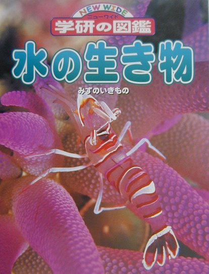 ◆◆◆おおむね良好な状態です。中古商品のため使用感等ある場合がございますが、品質には十分注意して発送いたします。 【毎日発送】 商品状態 著者名 出版社名 Gakken 発売日 2000年12月08日 ISBN 9784055004183