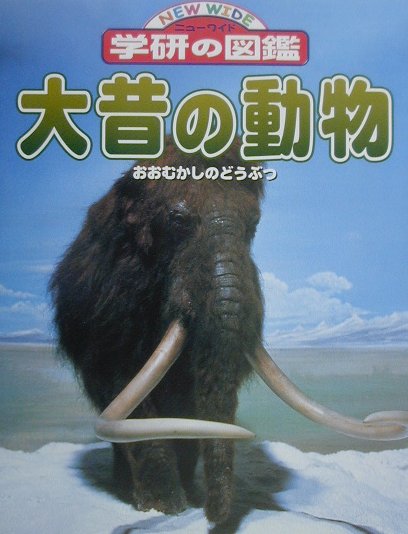 ◆◆◆全体的に汚れがあります。中古ですので多少の使用感がありますが、品質には十分に注意して販売しております。迅速・丁寧な発送を心がけております。【毎日発送】 商品状態 著者名 出版社名 Gakken 発売日 2000年12月08日 ISBN...