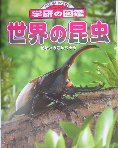 ◆◆◆おおむね良好な状態です。中古商品のため使用感等ある場合がございますが、品質には十分注意して発送いたします。 【毎日発送】 商品状態 著者名 Unknown:秀治, 岡島 出版社名 Gakken 発売日 2004年03月 ISBN 97...