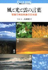 ◆◆◆非常にきれいな状態です。中古商品のため使用感等ある場合がございますが、品質には十分注意して発送いたします。 【毎日発送】 商品状態 著者名 高橋健司 出版社名 講談社 発売日 1996年07月16日 ISBN 9784061981171