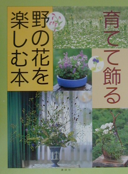 ◆◆◆おおむね良好な状態です。中古商品のため使用感等ある場合がございますが、品質には十分注意して発送いたします。 【毎日発送】 商品状態 著者名 出版社名 講談社 発売日 2000年05月23日 ISBN 9784062095815