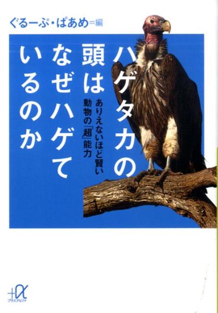 ◆◆◆非常にきれいな状態です。中古商品のため使用感等ある場合がございますが、品質には十分注意して発送いたします。 【毎日発送】 商品状態 著者名 ぐる−ぷ・ぱあめ 出版社名 講談社 発売日 2009年07月20日 ISBN 97840628...