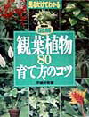 ◆◆◆おおむね良好な状態です。中古商品のため使用感等ある場合がございますが、品質には十分注意して発送いたします。 【毎日発送】 商品状態 著者名 平城好明 出版社名 主婦の友社 発売日 1999年03月 ISBN 9784072253311