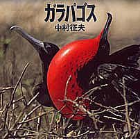 ◆◆◆カバーなし。迅速・丁寧な発送を心がけております。【毎日発送】 商品状態 著者名 中村征夫 出版社名 集英社 発売日 1992年04月01日 ISBN 9784085320390