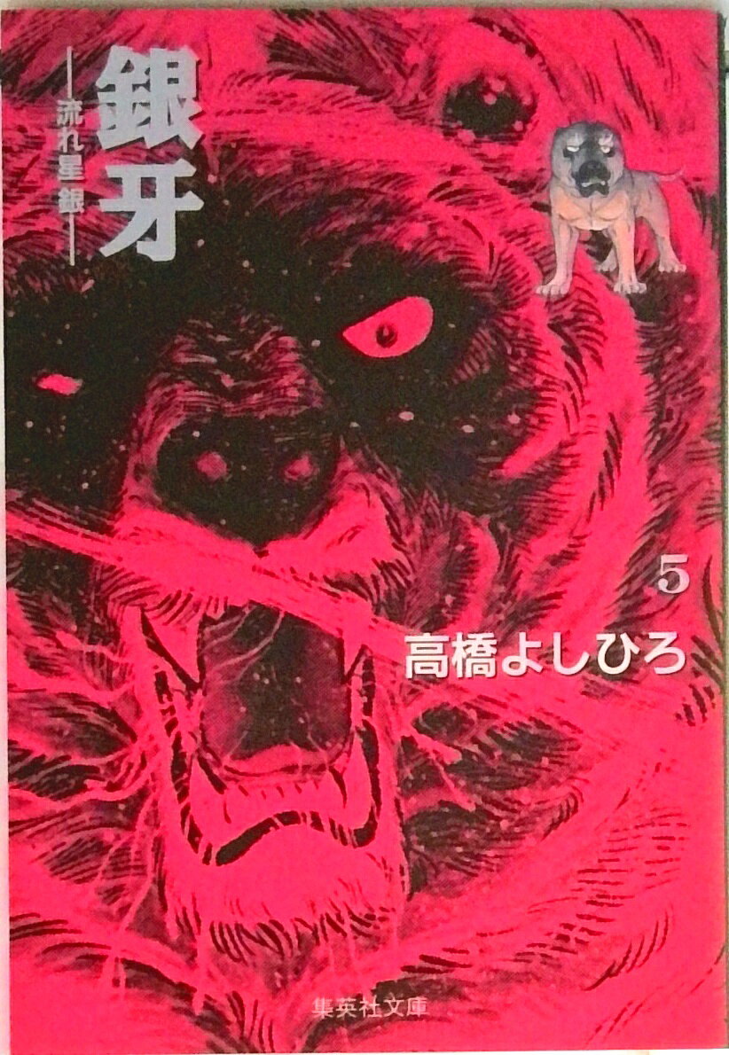 ◆◆◆おおむね良好な状態です。中古商品のため使用感等ある場合がございますが、品質には十分注意して発送いたします。 【毎日発送】 商品状態 著者名 高橋よしひろ 出版社名 集英社 発売日 1998年03月 ISBN 9784086173650
