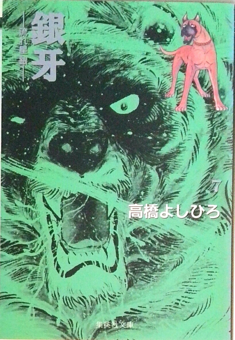 ◆◆◆小口に汚れ、日焼けがあります。中古ですので多少の使用感がありますが、品質には十分に注意して販売しております。迅速・丁寧な発送を心がけております。【毎日発送】 商品状態 著者名 高橋よしひろ 出版社名 集英社 発売日 1998年05月 ...