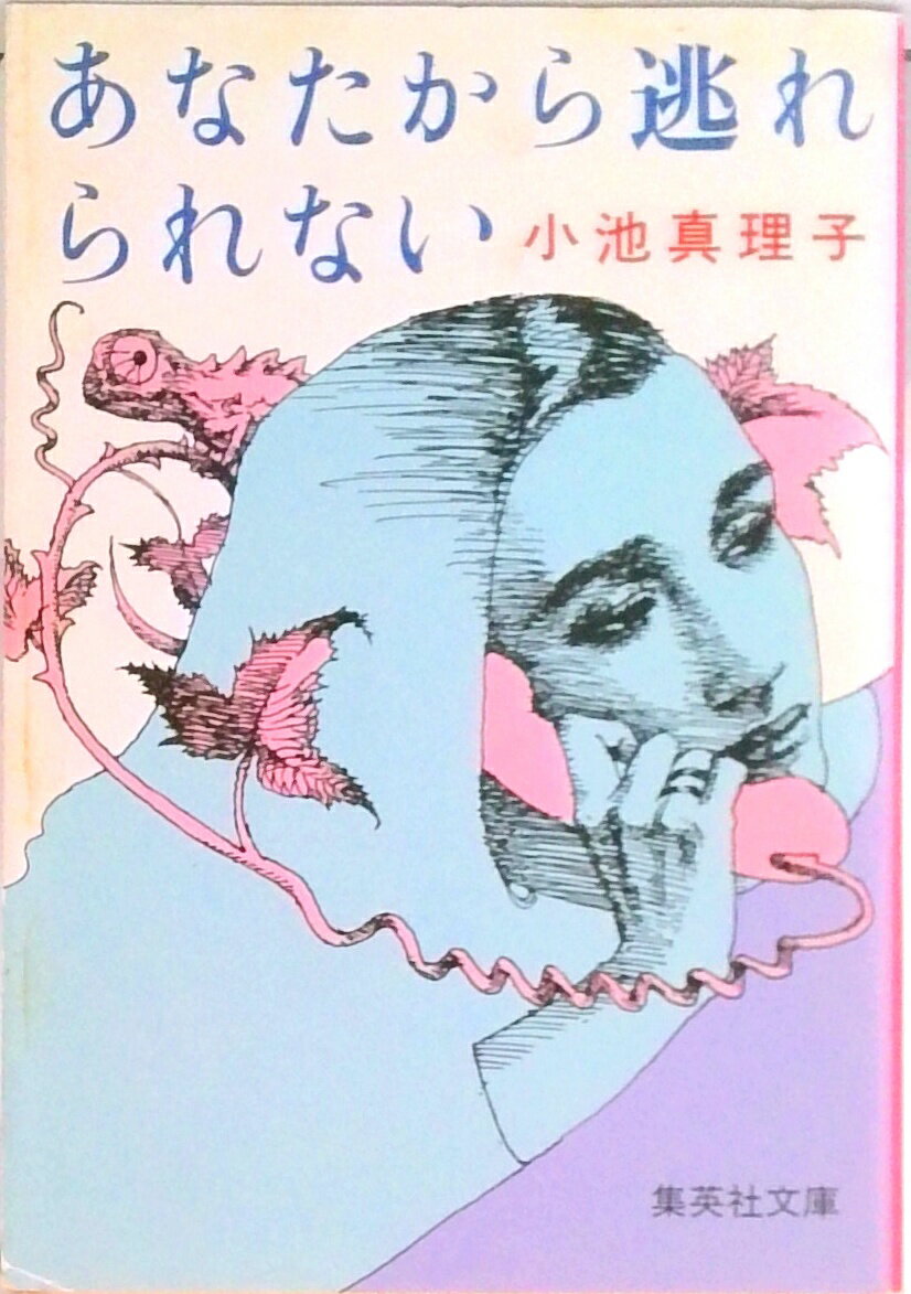 ◆◆◆おおむね良好な状態です。中古商品のため使用感等ある場合がございますが、品質には十分注意して発送いたします。 【毎日発送】 商品状態 著者名 小池真理子 出版社名 集英社 発売日 1985年08月 ISBN 9784087490220