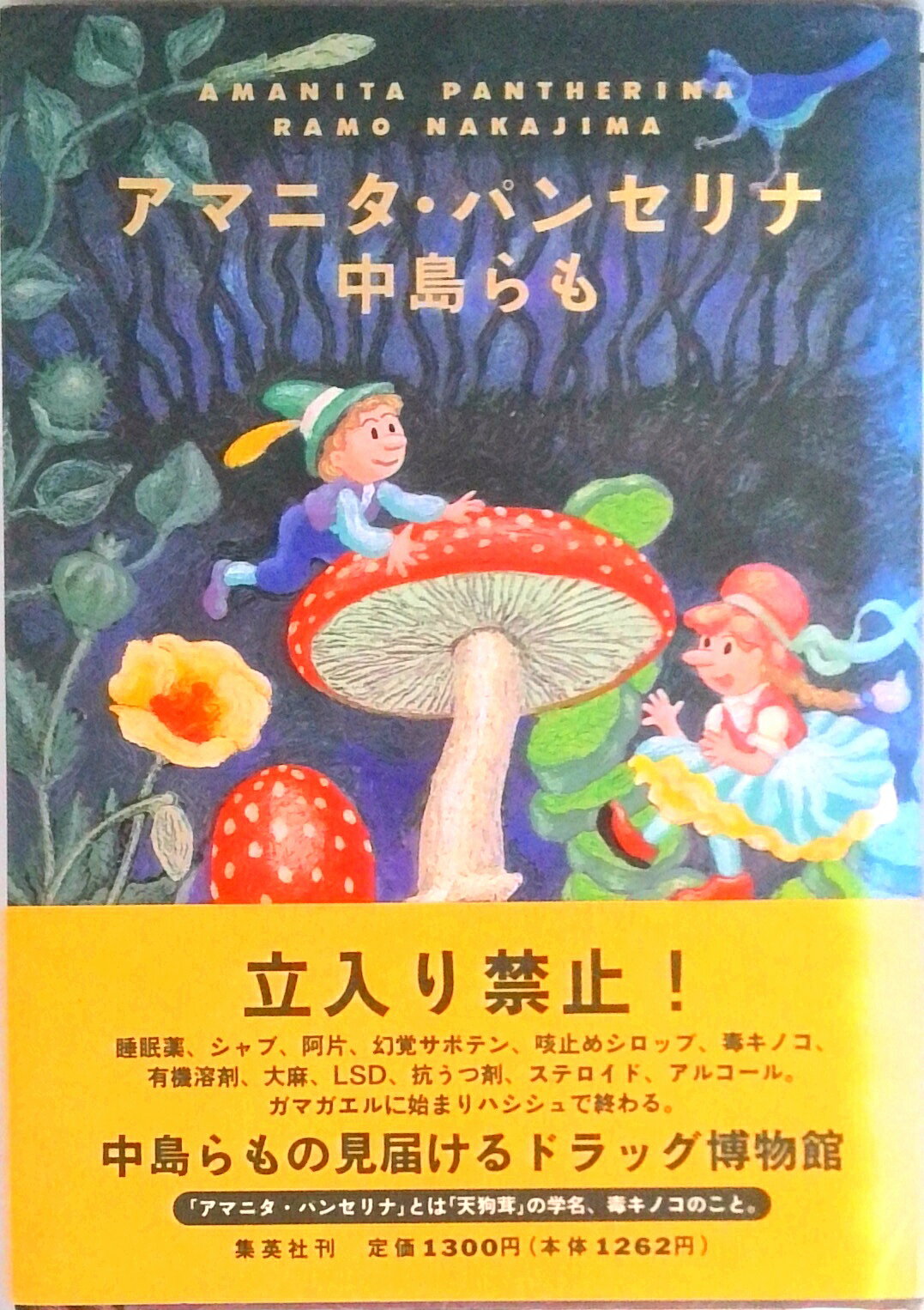 ◆◆◆おおむね良好な状態です。中古商品のため使用感等ある場合がございますが、品質には十分注意して発送いたします。 【毎日発送】 商品状態 著者名 中島らも 出版社名 集英社 発売日 1995年12月 ISBN 9784087741742